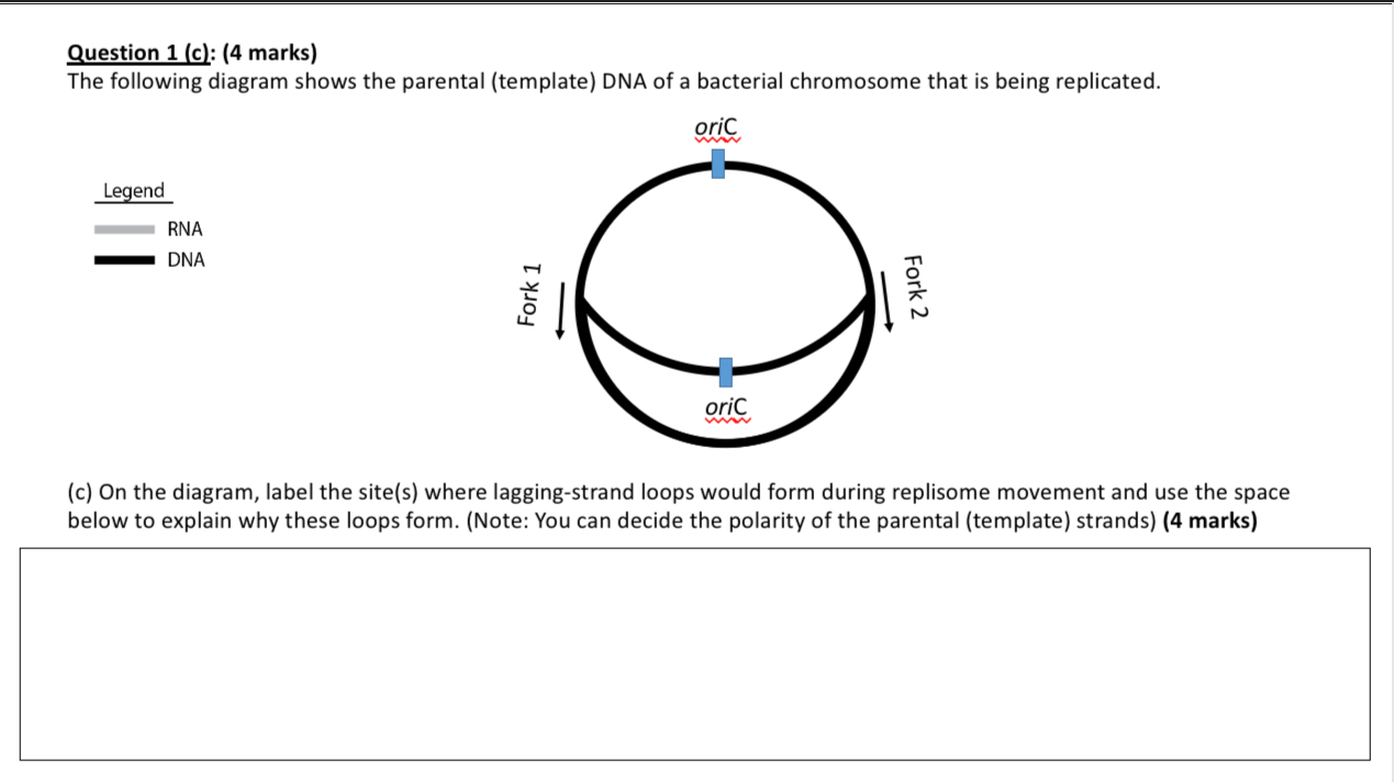 Solved Question 1 (c): (4 ﻿marks)The following diagram shows | Chegg.com