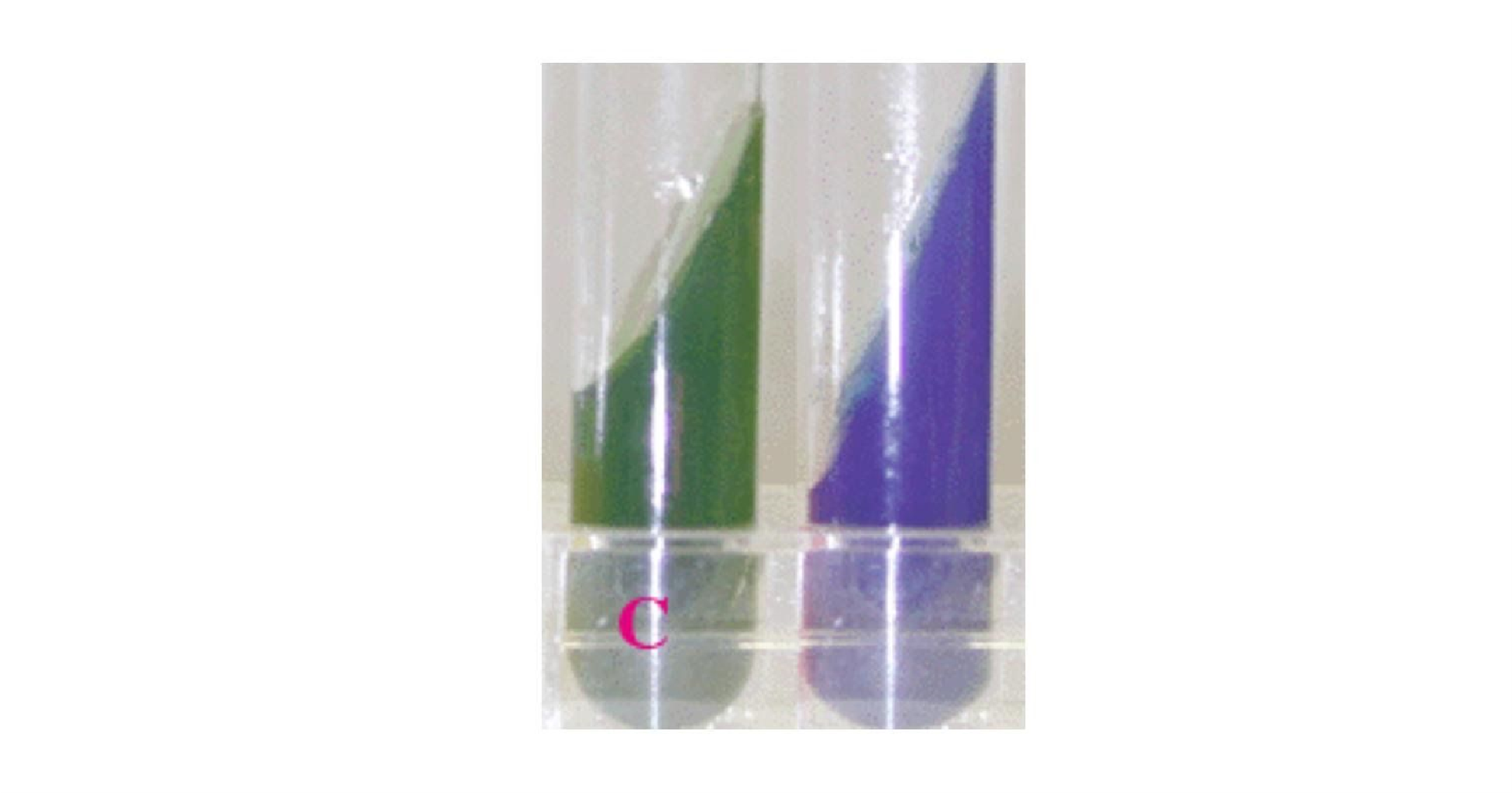 Solved 1. name this medium 2. which color tube is | Chegg.com