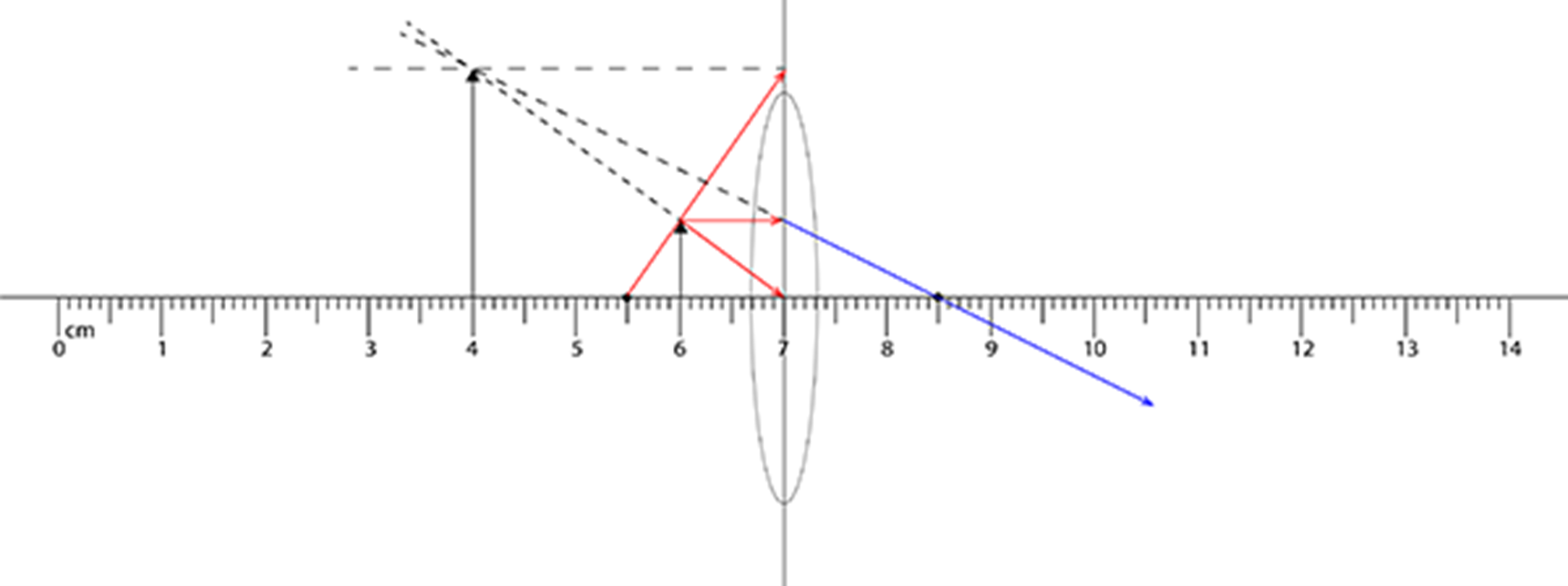 Solved Which of the following best describes the image?• | Chegg.com