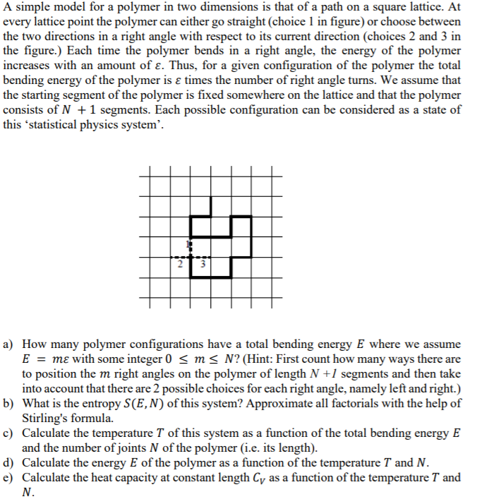 A simple model for a polymer in two dimensions is | Chegg.com