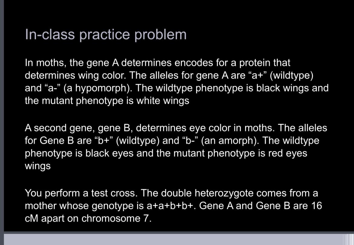 In-class practice problem In moths, the gene A | Chegg.com