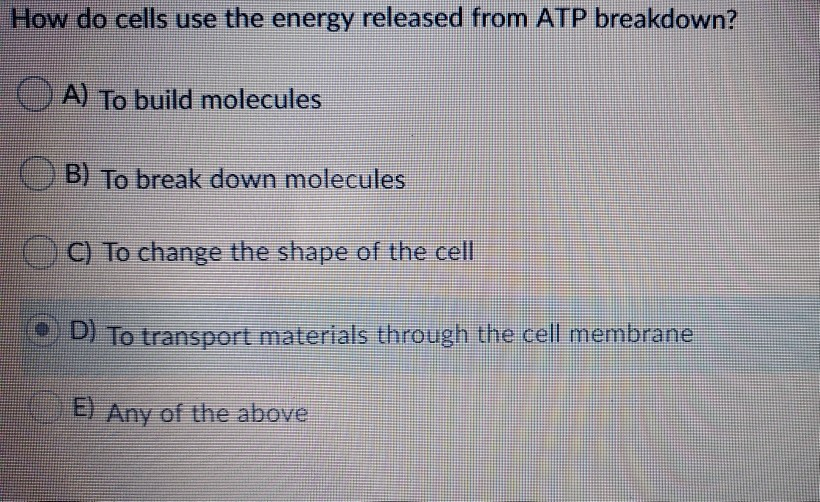 Solved How do cells use the energy released from ATP | Chegg.com