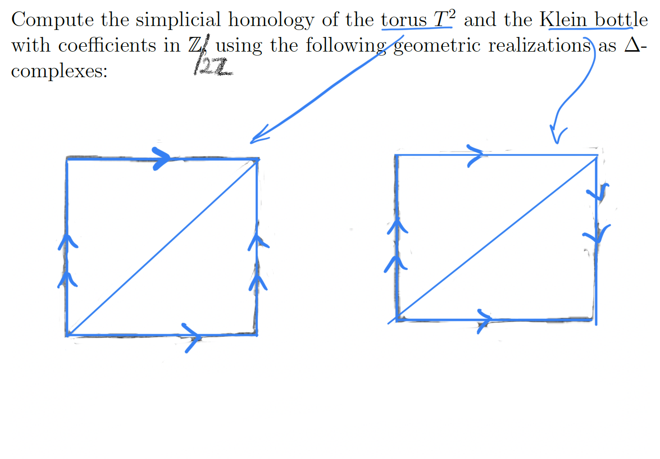 Solved Compute the simplicial homology of the torus T2 and | Chegg.com