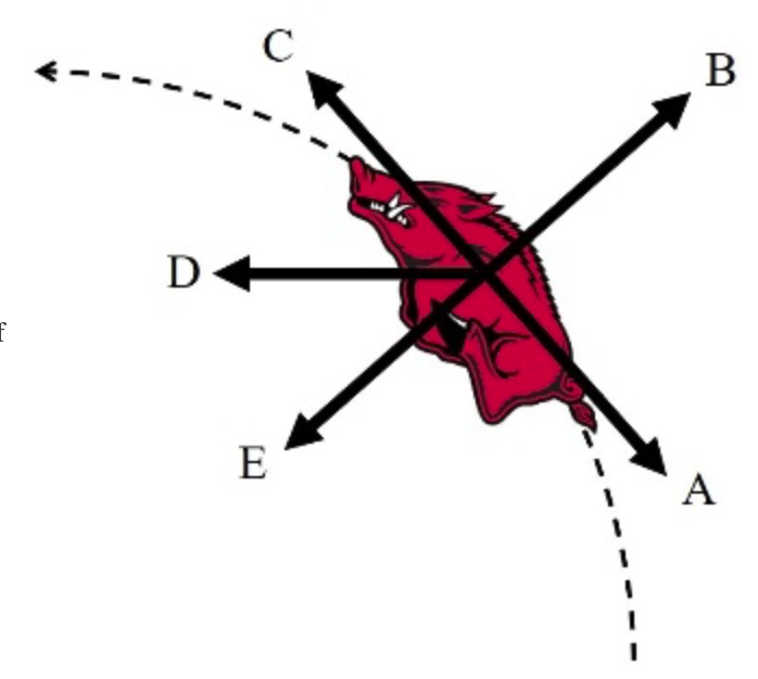 Solved 1) As seen from above, an Arkansas Razorback rounds | Chegg.com