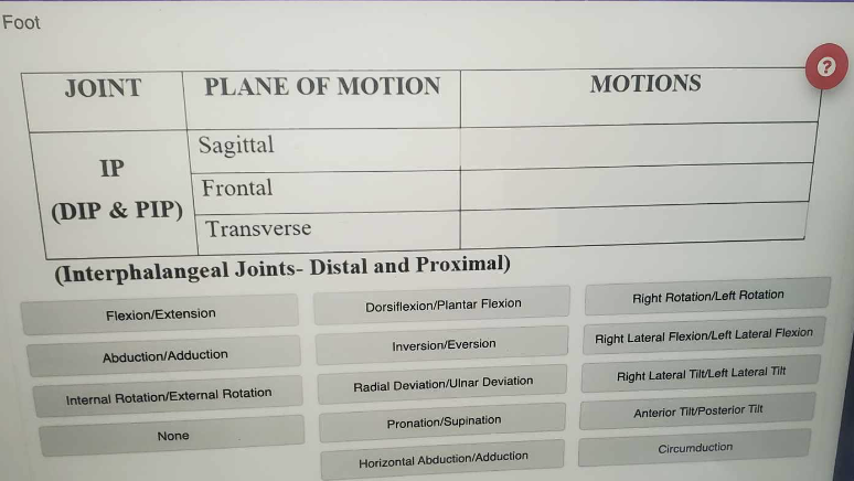 Solved Foot (Interphalangeal Joints- Distal and | Chegg.com