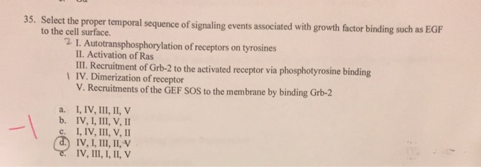Solved 35. Select the proper temporal sequence o f signaling | Chegg.com