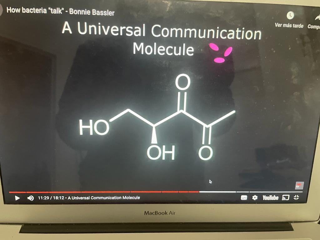 Solved How bacteria "talk" - Bonnie Bassler A Universal | Chegg.com