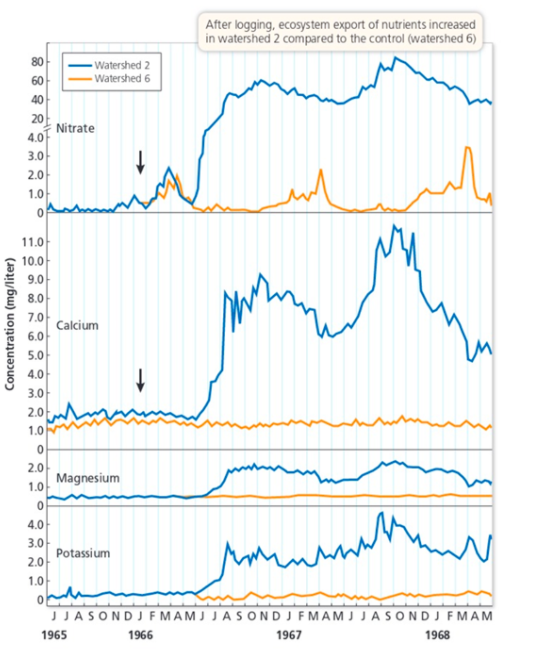 Solved The graph below shows that a disturbance in the | Chegg.com
