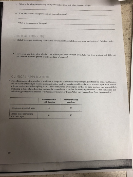 Solved MICROBES IN THE ENVIRONMENT Nutrient broth.Ana | Chegg.com