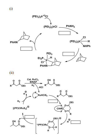 Solved (i) PhHN (ii) O OEt H H₂ [(PP)CIRUS₂] OH O OEt | Chegg.com