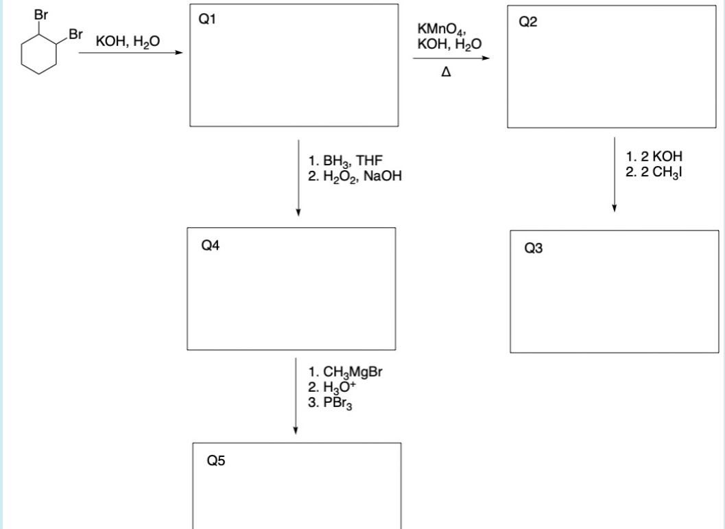 Solved Br Q1 Q2 Br KOH, H20 KMnO4, KOH, H20 1. BHz, THE 2. | Chegg.com