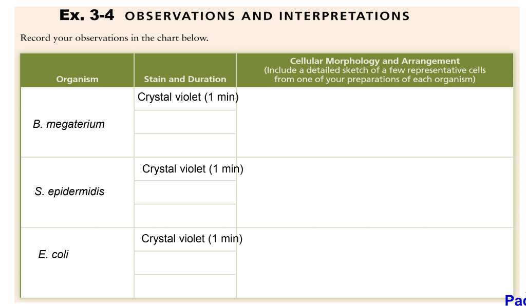 Solved Ex. 3-4 OBSERVATIONS AND INTERPRETATIONS Record your | Chegg.com