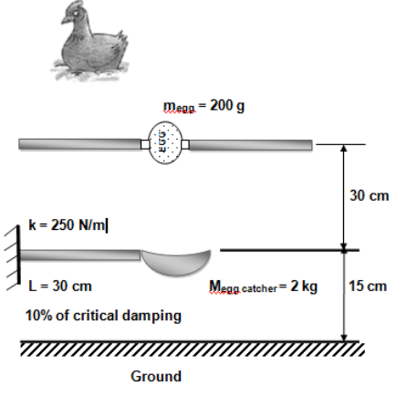 Solved The egg undergoes free-fall from the hall and lands | Chegg.com
