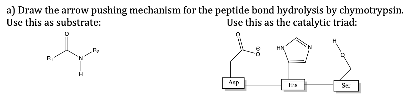 Solved a) Draw the arrow pushing mechanism for the peptide | Chegg.com