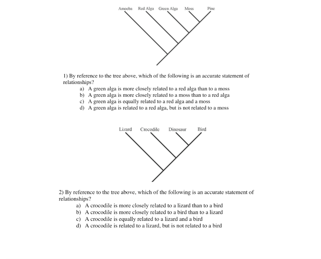 Solved Amoeba Red Alga Green Alga Moss Pine 1) By reference | Chegg.com