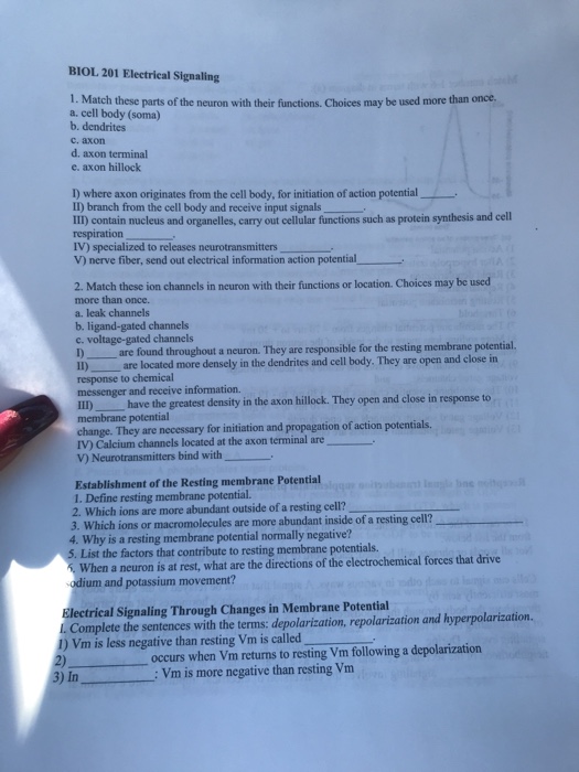 Solved BIOL 201 Electrical Signaling 1. Match these parts of | Chegg.com
