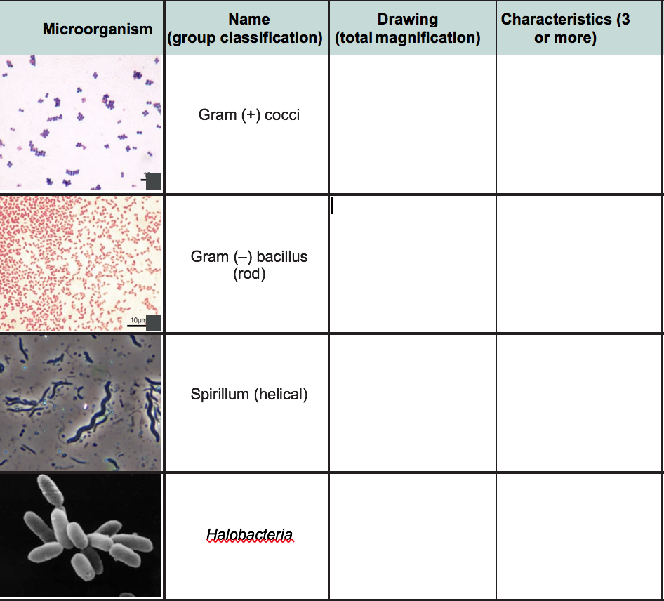 Solved 1. Please answer ONLY the characteristics. Use info | Chegg.com