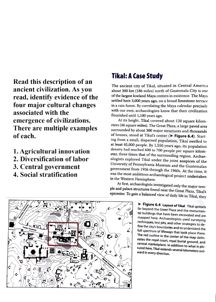 Read this description of an Tikal: A Case Study | Chegg.com