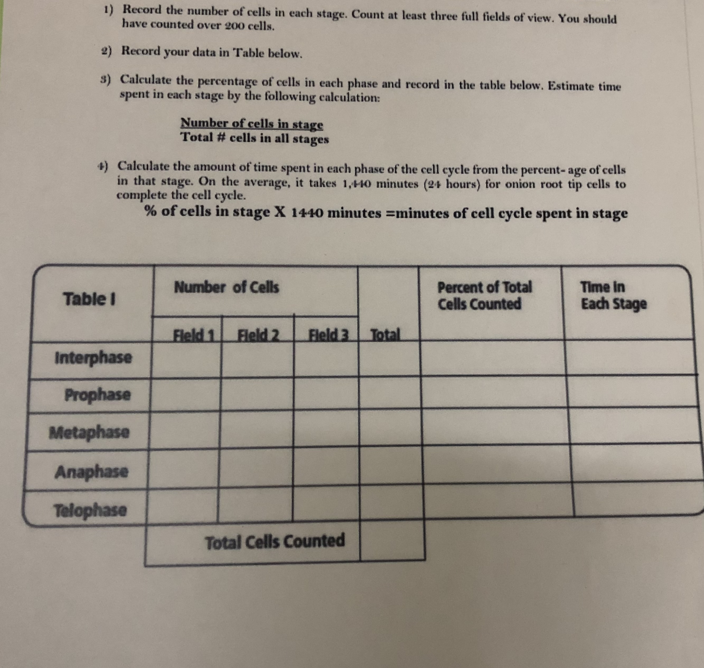 1) Record the number of cells in each stage. Count at | Chegg.com