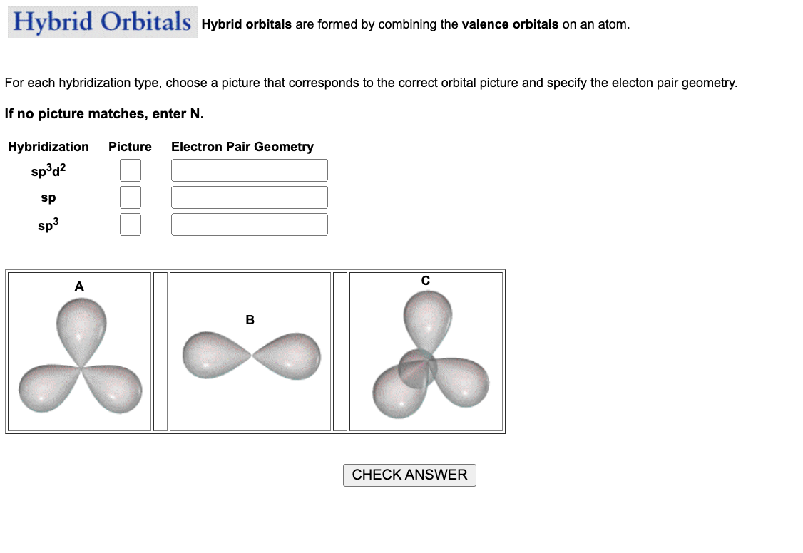 Solved Hybrid Orbitals Hybrid orbitals are formed by | Chegg.com