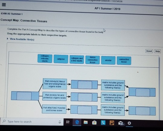 Connective Tissue Concept Map