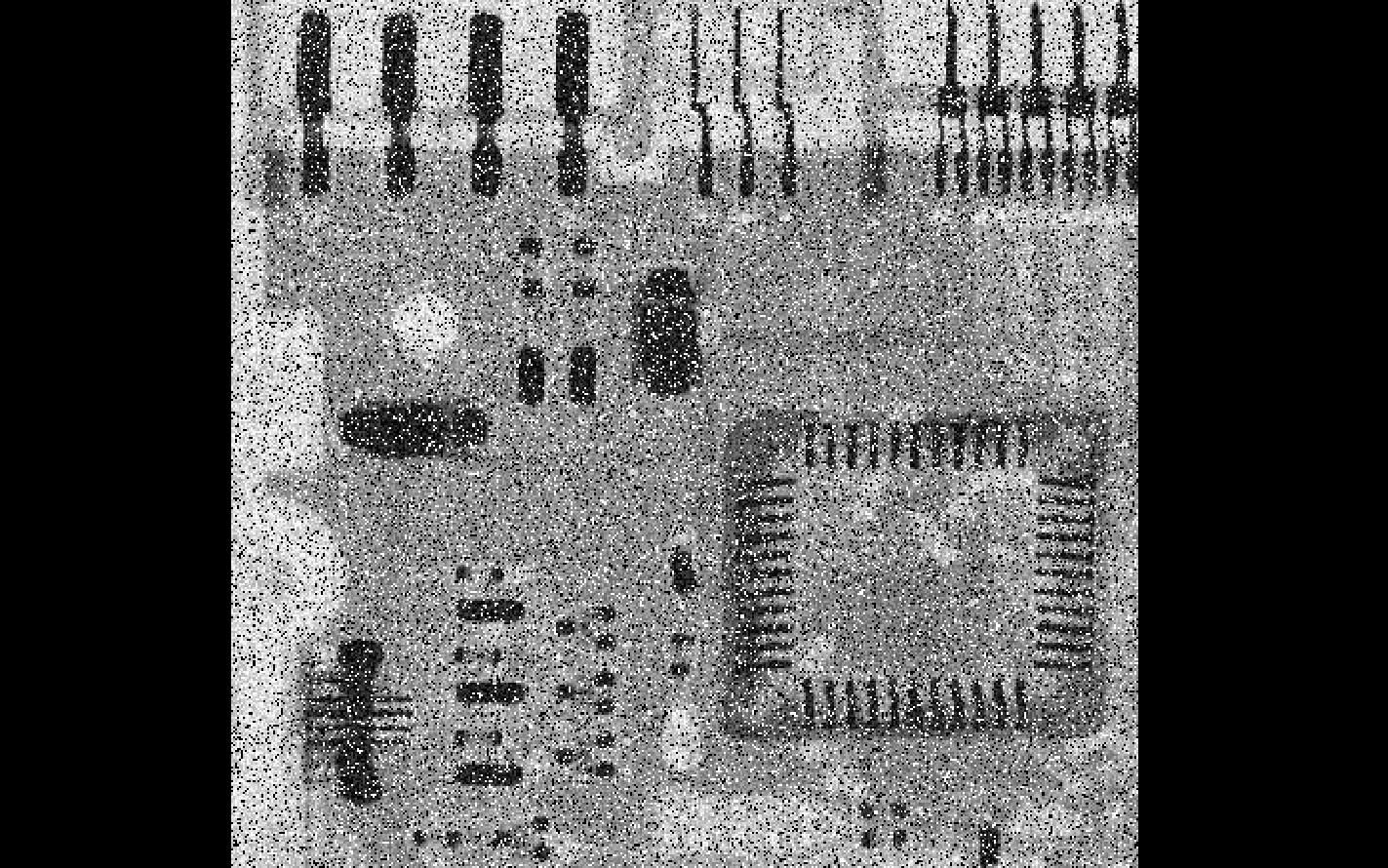 Using Matlab Remove the noise from the input images | Chegg.com