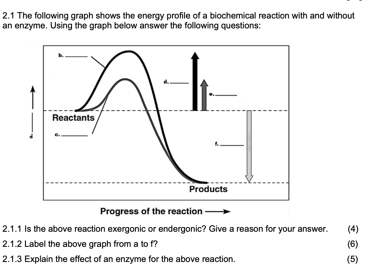 Solved 2.1 ﻿The following graph shows the energy profile of | Chegg.com