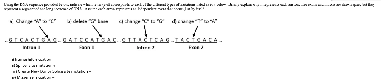 Solved Using the DNA sequence provided below, indicate which | Chegg.com