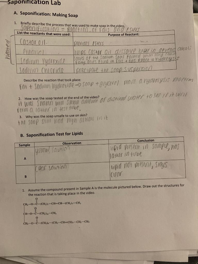 Solved Saponification Lab A. Saponification: Making Soap 1. | Chegg.com