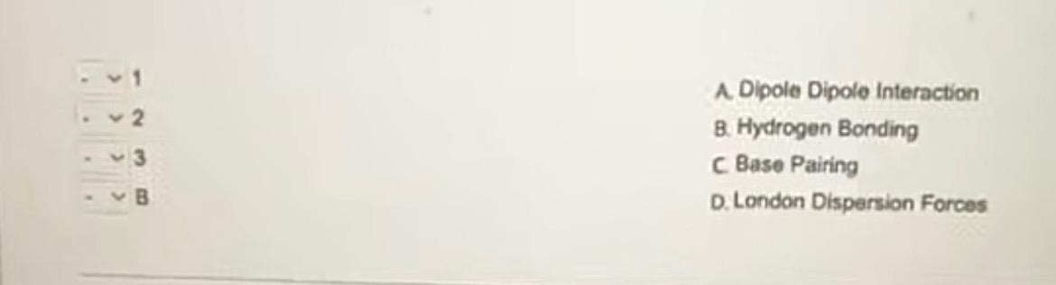 Solved double helix Cross section of DNA double helix 1 2 | Chegg.com