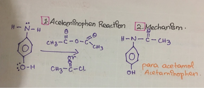 Solved minophen m. tl C-CH3 CH3-C-0-C CH3 ara acetom | Chegg.com