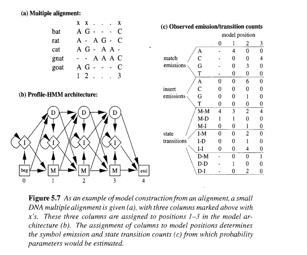 Solved Derive parameters of profile HMM for MSA given in | Chegg.com
