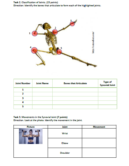 Solved Task 2. Classification of Joints. (15 points) | Chegg.com