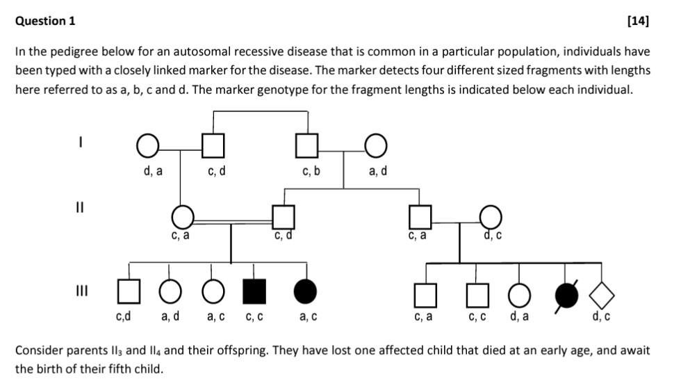 In the pedigree below for an autosomal recessive | Chegg.com
