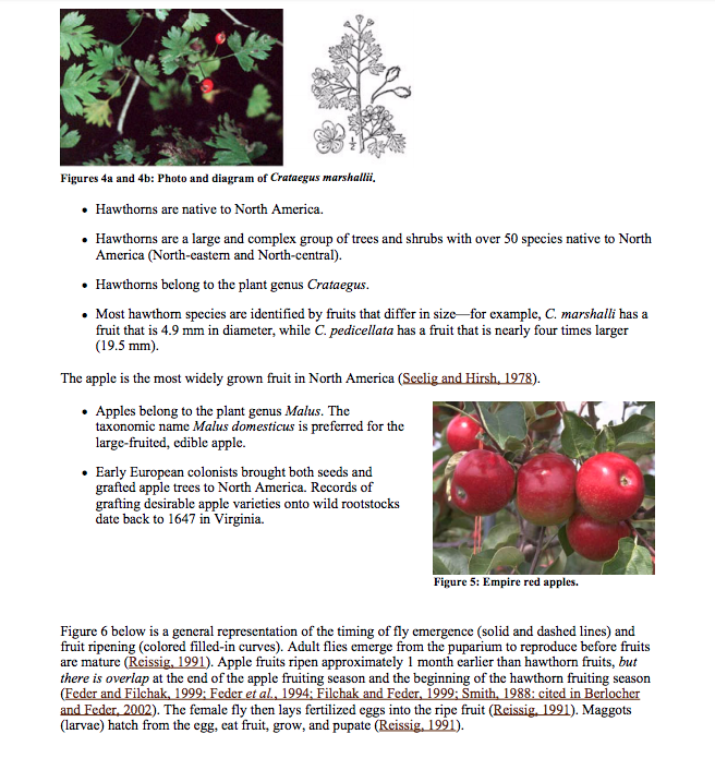 Solved Hawthorn trees grow throughout North America and they | Chegg.com