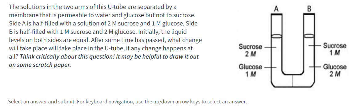 Solved The solutions in the two arms of this U-tube are | Chegg.com