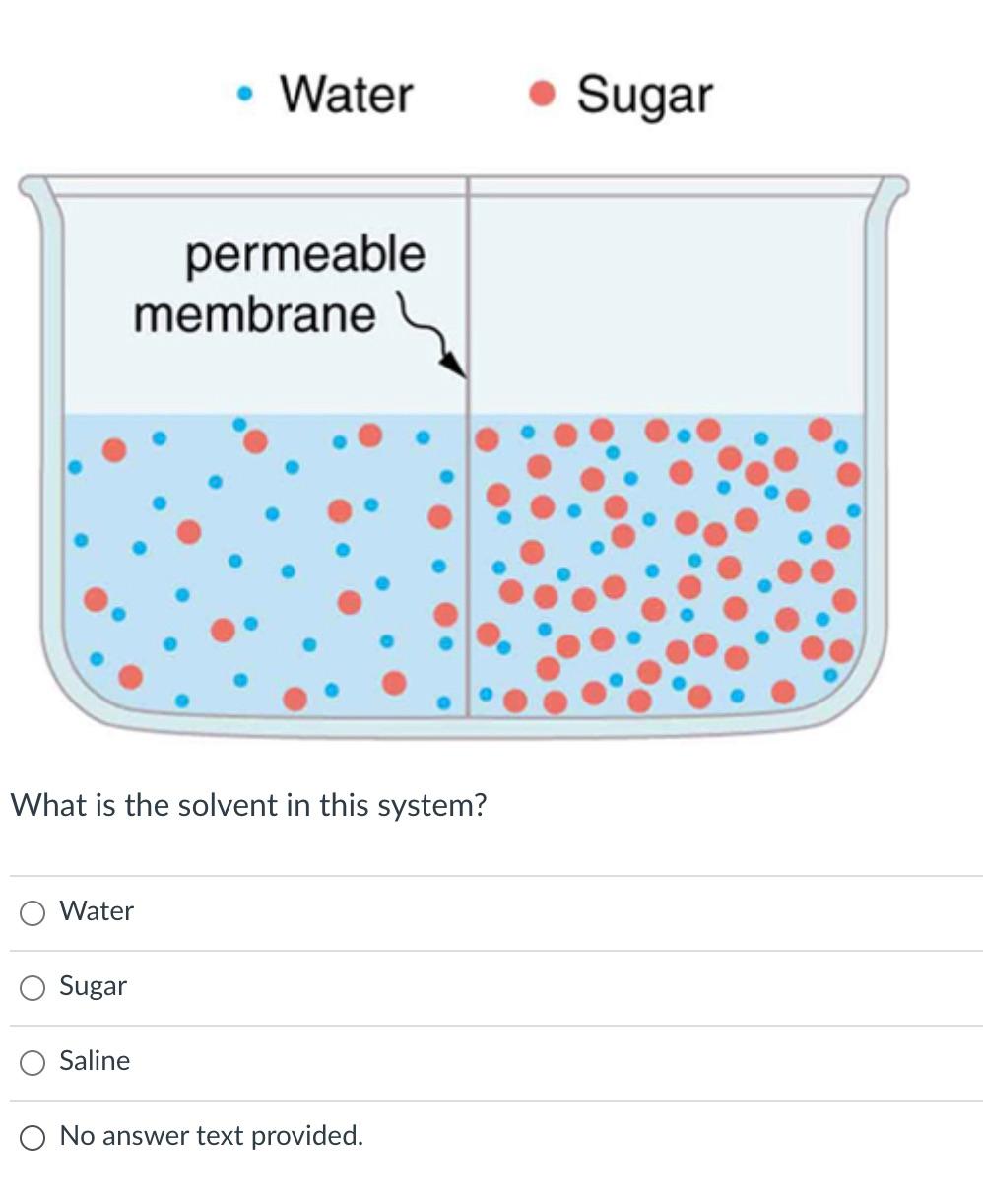 Solved Water Sugar permeable membrane What would the figure | Chegg.com ...