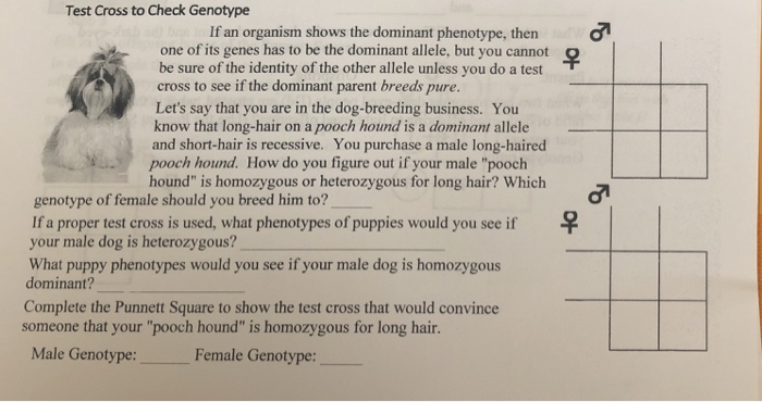 Solved Cases of Complete Dominance 1. Gregor Mendel grew | Chegg.com