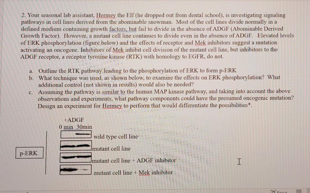 Solved 2. Your seasonal lab assistant, Hermey the Elf (he | Chegg.com