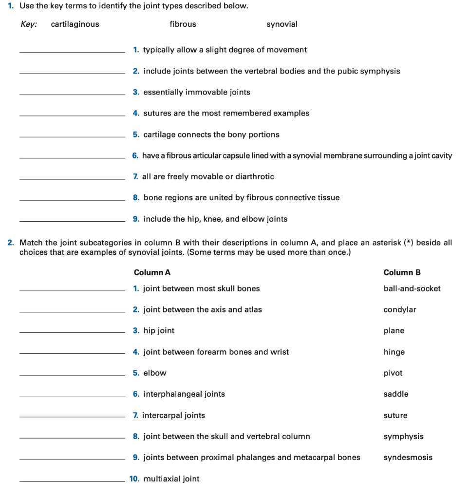 Solved 1. Use the key terms to identify the joint types | Chegg.com