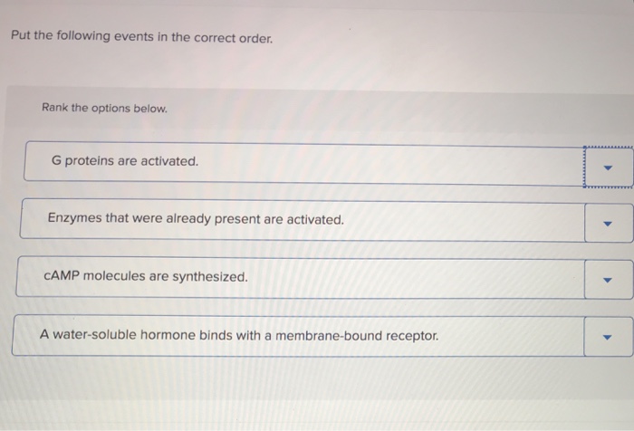 Solved Put the following events in the correct order. Rank | Chegg.com