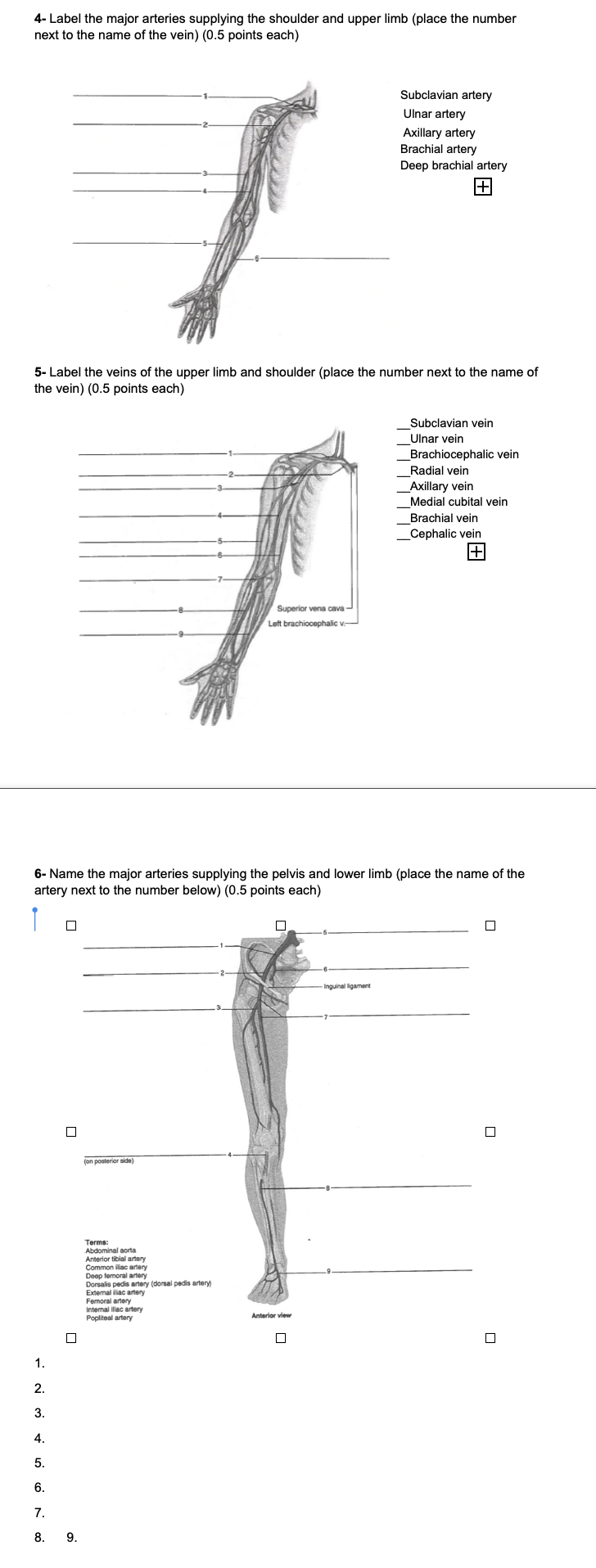 Solved 4- Label the major arteries supplying the shoulder | Chegg.com