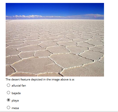 Solved he desert feature depicted in the image above O | Chegg.com
