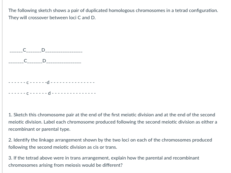 Solved The following sketch shows a pair of duplicated | Chegg.com