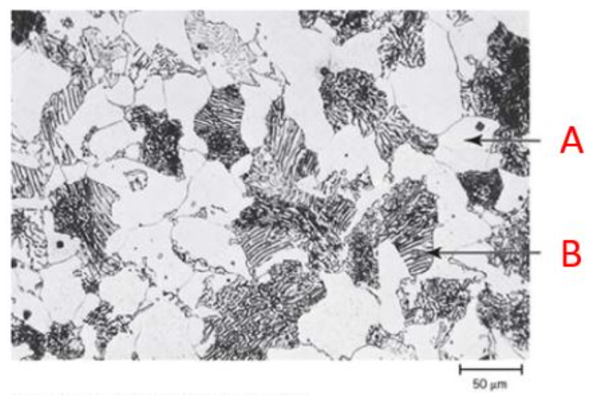 Solved What are the names of structures A and B? [Options: | Chegg.com