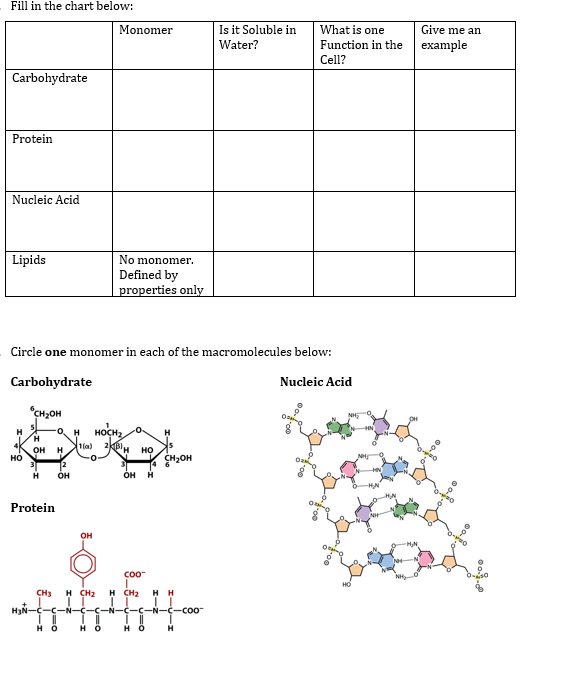Solved Fill in the chart below: Circle one monomer in each | Chegg.com