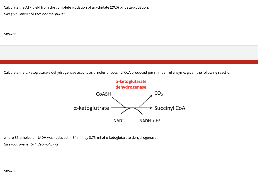 Solved Calculate the ATP yield from the complete oxidation | Chegg.com