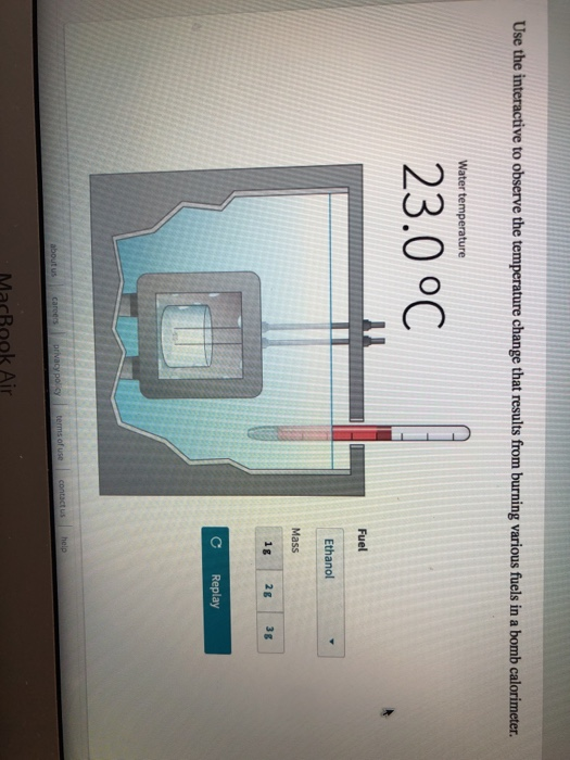Solved Use the interactive to observe the temperature change | Chegg.com