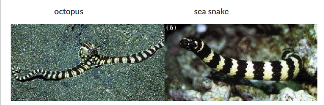 PLEASE ANSWER ASAP Based on each study or | Chegg.com