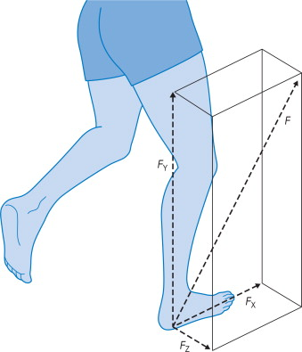Solved Base on this image explain the concept about ground | Chegg.com